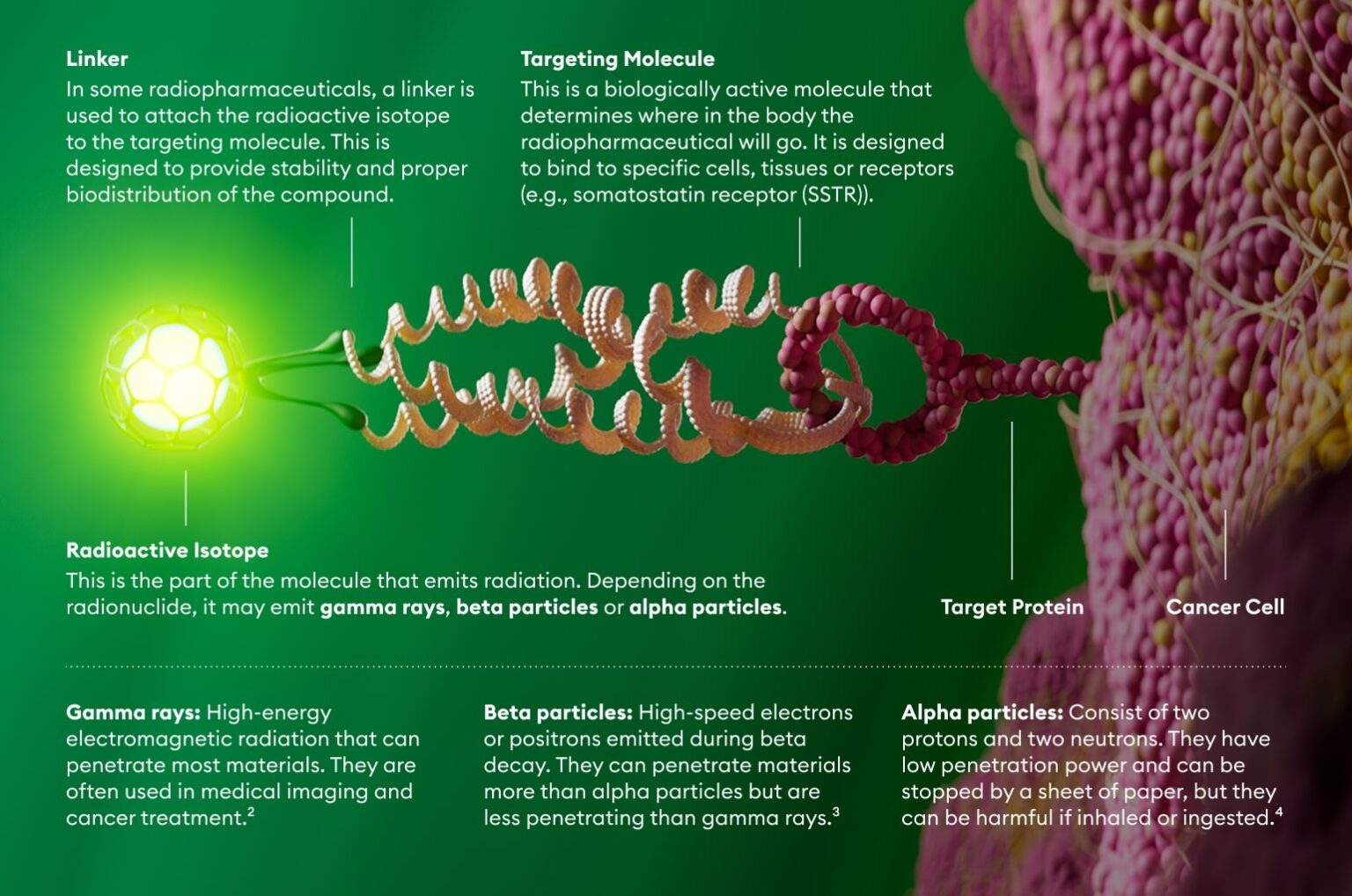 Understanding radiopharmaceuticals - Lantheus